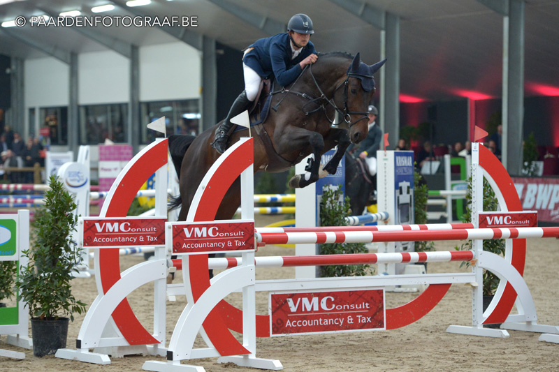 EL BARONE 111 Z Z55770512 | Belgian Warmblood