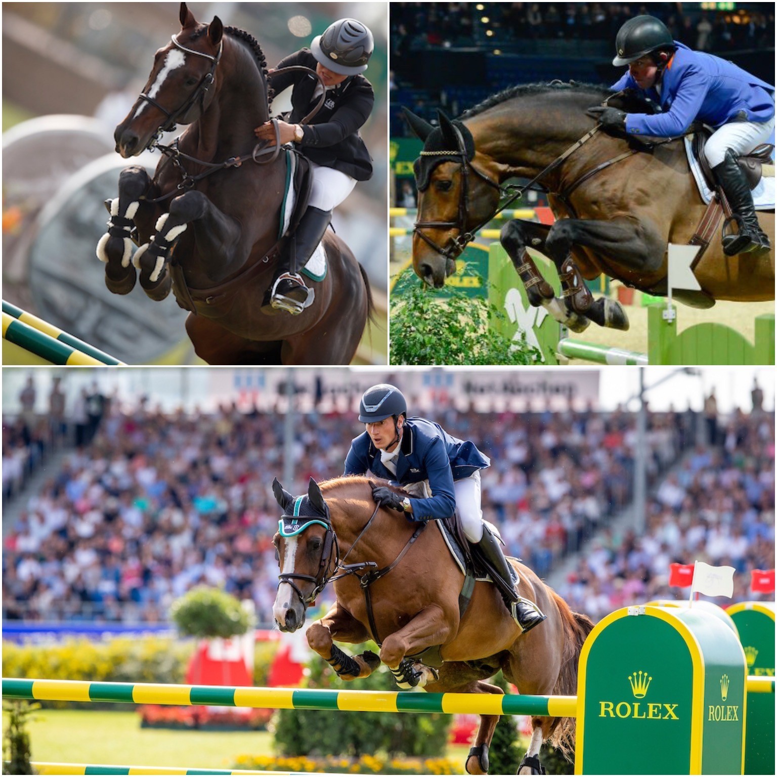 Fantomas de Muze, Tobago en Elvis vd Rhamdiahoeve worden BWP ...