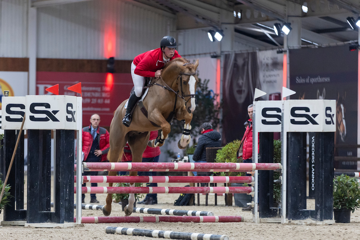 UNFORGETTABLE JW VDM | Belgian Warmblood