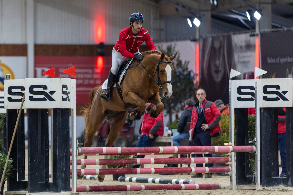 EXCELSIOR OPTIMUS Z | Belgian Warmblood