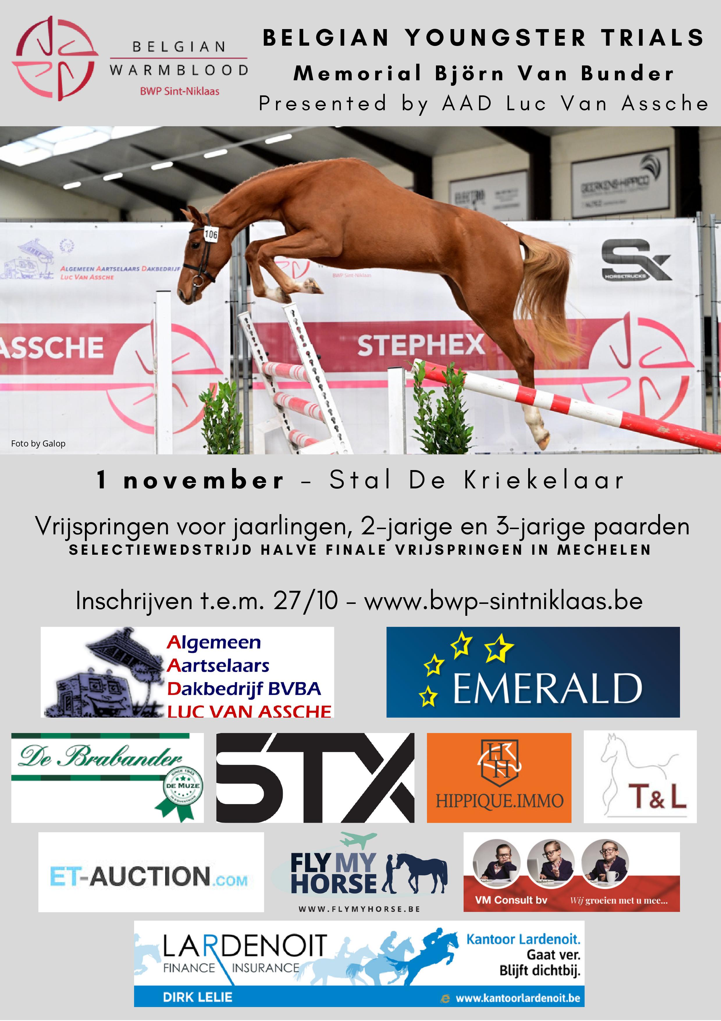 Startlijsten BYT | Belgian Warmblood