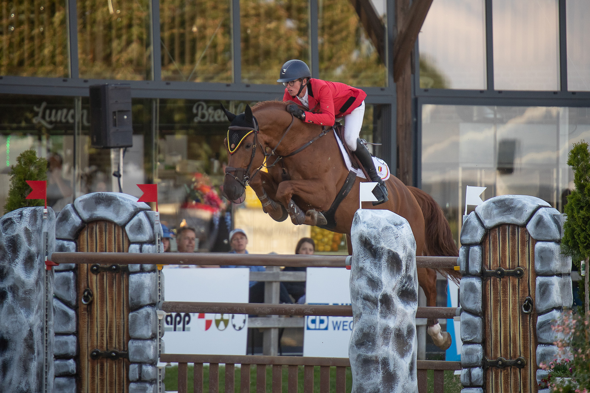 BWP-elitehengst Oscar the Homage springt in de prijzen tijdens GP ...