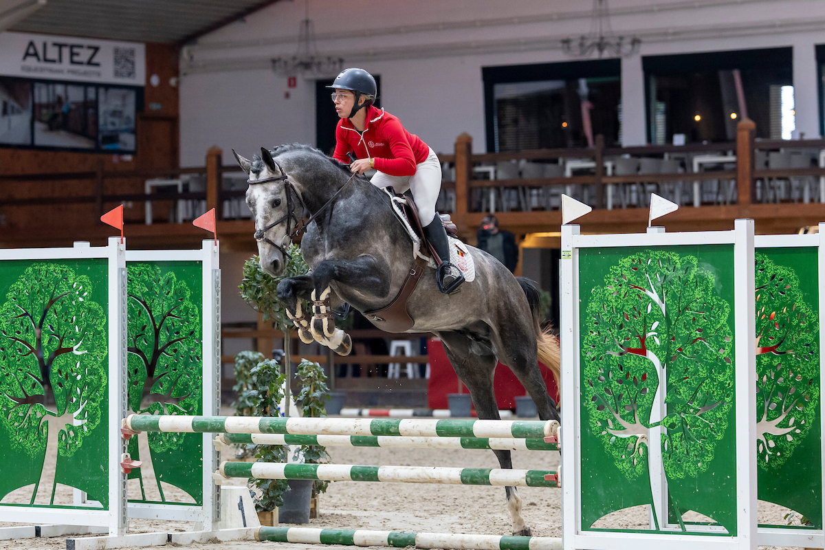 WACO TOBACO TB | Belgian Warmblood