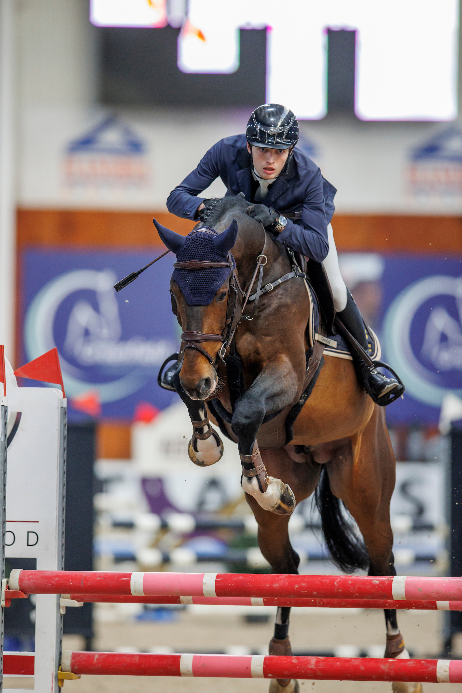 Robin Van Thillo en My Jewel's Magic Touch naar goud in GP Wuustwezel ...
