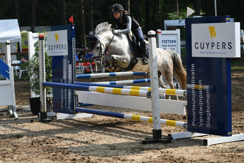 BRp-merrie met P-label: Oelala Golden H | Belgian Warmblood